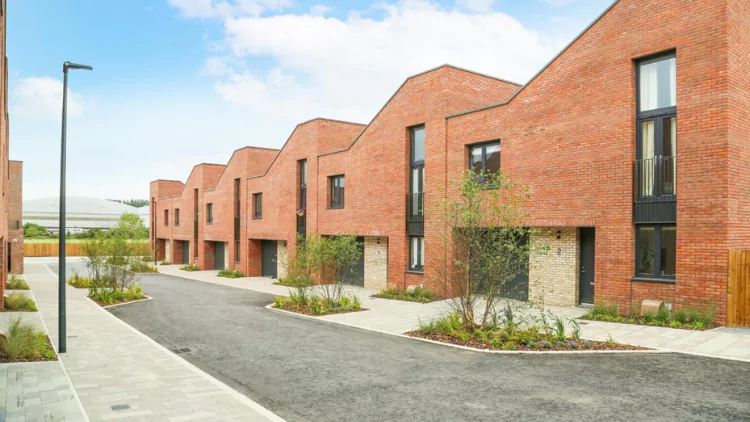 2021 in Review: The Year Brabazon Took Off